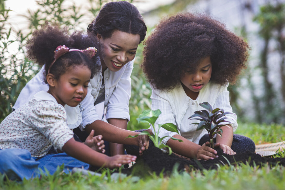 Why Seed Saving Is Important, For the Plants and Ourselves - Grit